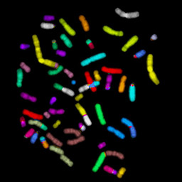 mFISH - Multicolor FISH Probes | MetaSystems Probes